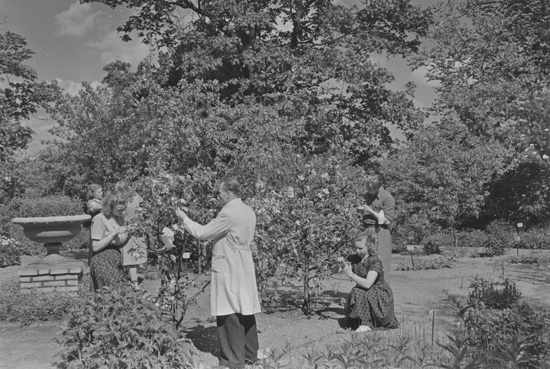 Tartu ülikooli geobotaanika kateeder. Praktikumi - Ajapaik