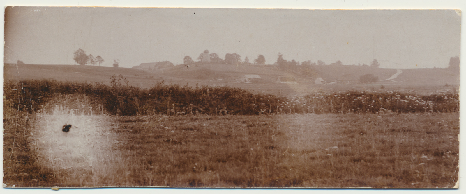 foto, Viljandimaa, Viiratsi, vaade Viljandi - Ajapaik