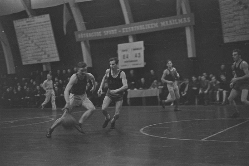 8 linna korvpall – Gunnar Vaidla - Ajapaik