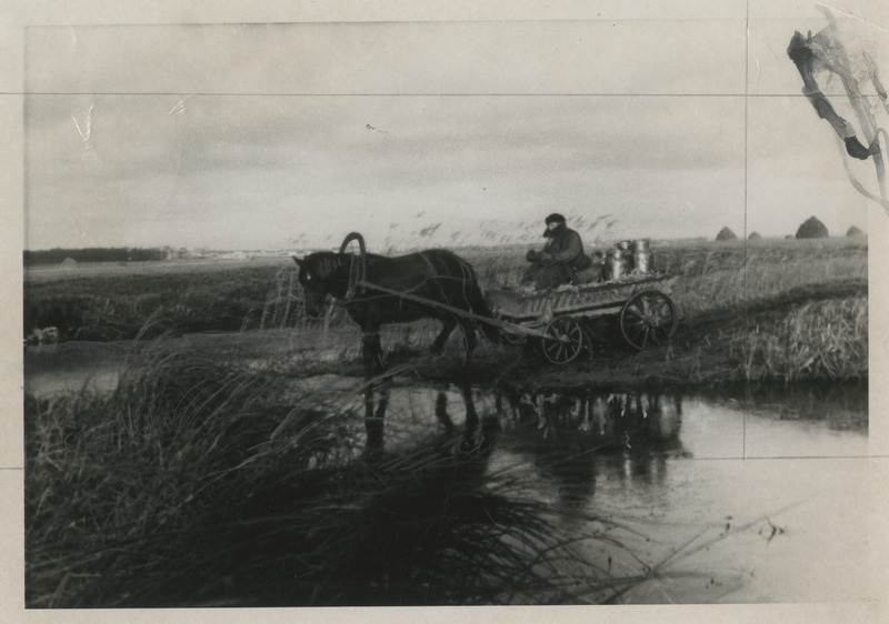 Hobune veab vankrit üle Porijõe - Ajapaik