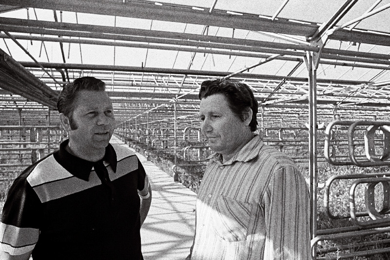 Harju rajooni V.I. Lenini nim. – Harald Leppikson - Ajapaik