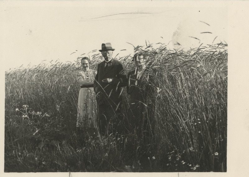 Tähtvere riigimõisa valitseja Jüri Brandt - Ajapaik