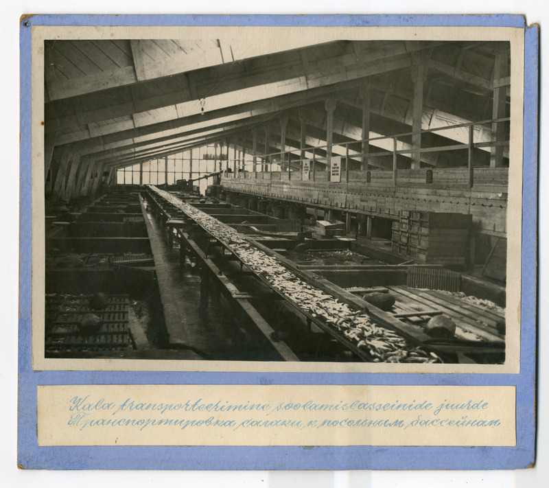 Foto, must-valge. Konveier - Ajapaik