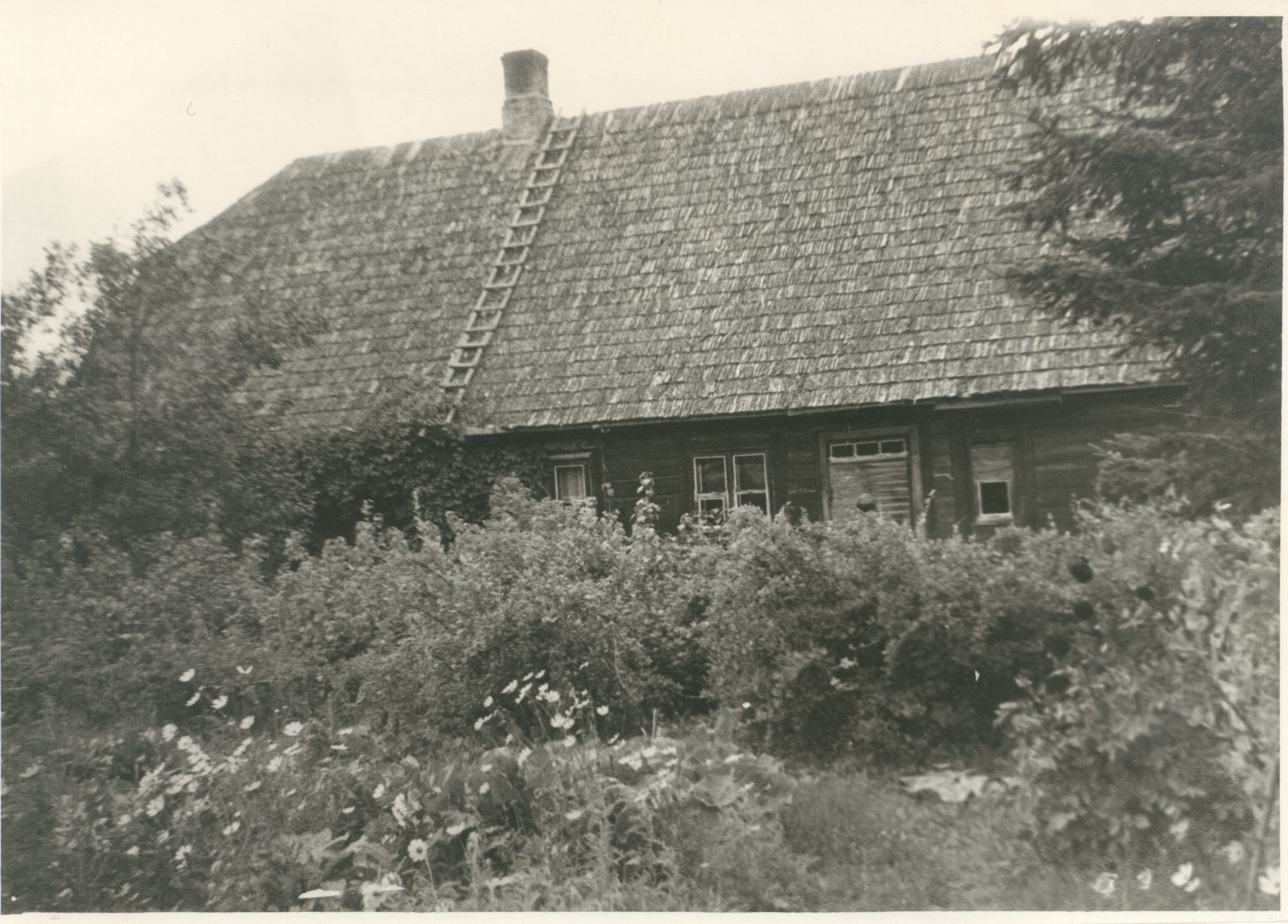 Roht, Richard. House (Tammiku settlement) - Ajapaik