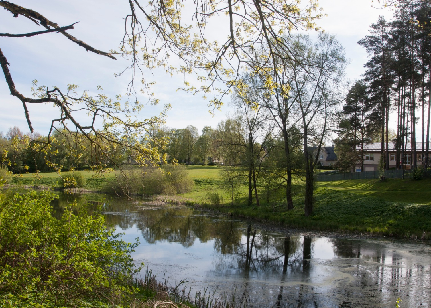 Viiratsi asula, vaade elamistsoonile - Ajapaik