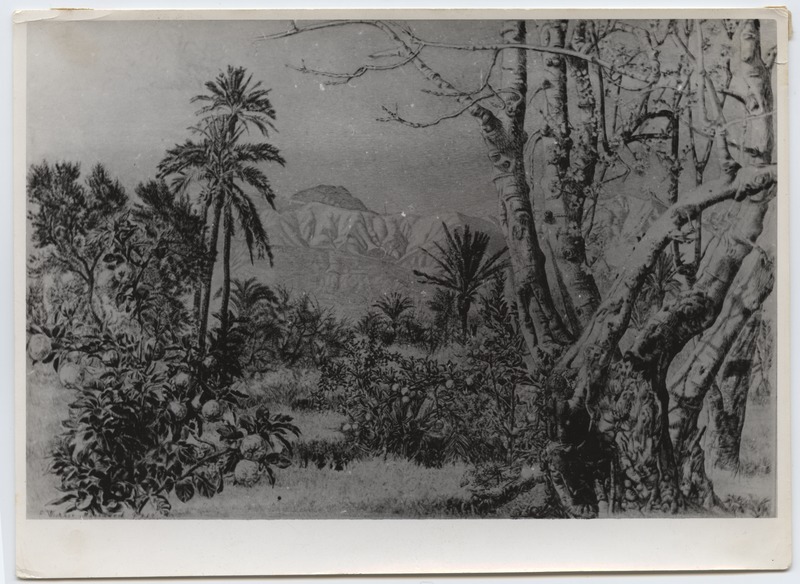 Fotoreproduktsioon E. Viiralt "Atlase mäed" – Richard Kirchhoff - Ajapaik