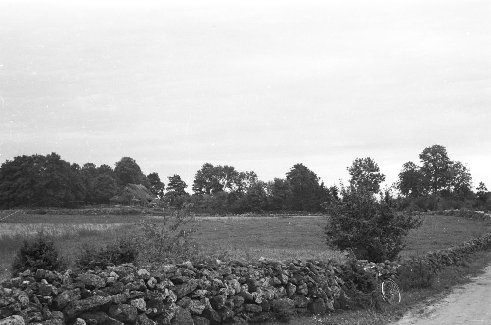 Õeste küla vaade. - Ajapaik