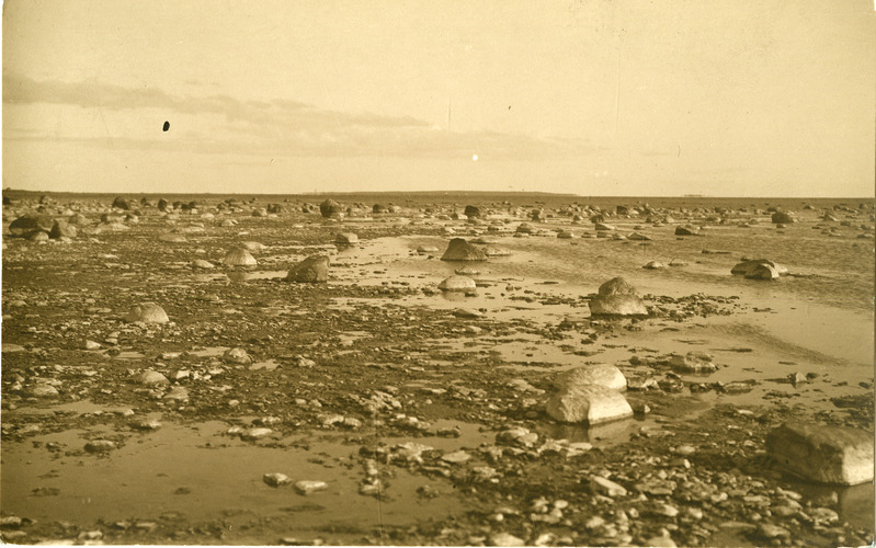Saaremaa mererand, taamal silmapiiril Abruka – Nikolai Königsfest - Ajapaik