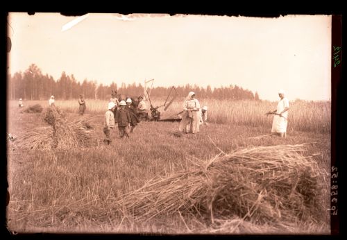 Kaks meest juuritud kännu juures - Ajapaik