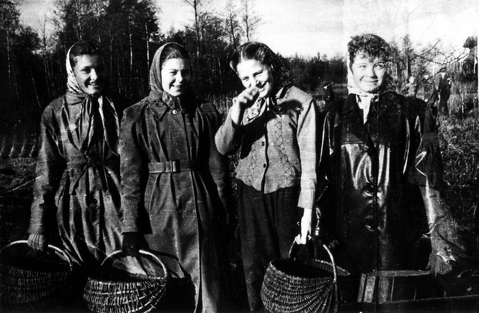 Jausa kooli õpilased kolhoosi kartulipõllul - Ajapaik