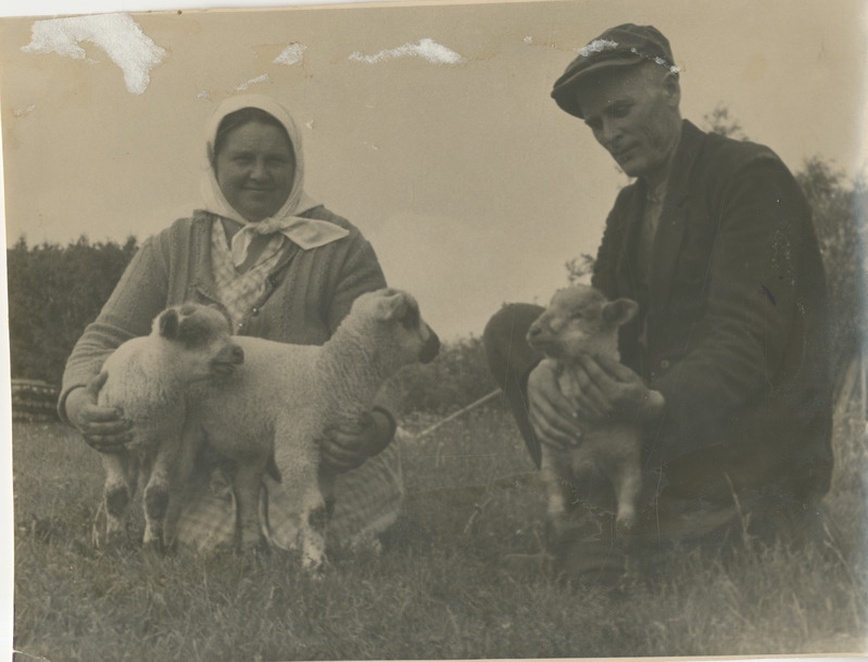 Foto, must-valge. Töö kolhoosis "Uus - Ajapaik