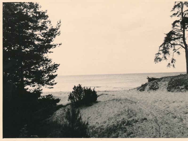 Peipsi rand Katase ja Uusküla – Aleksander Soon - Ajapaik