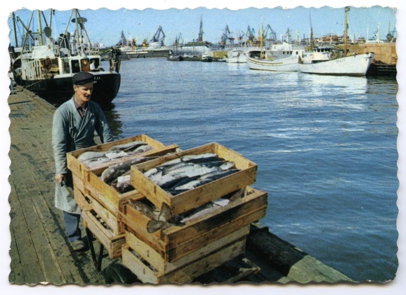 Vaade Göteborgi kalaturule - Ajapaik