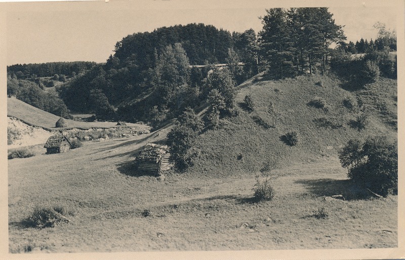 Rutja – Carl Sarap - Ajapaik