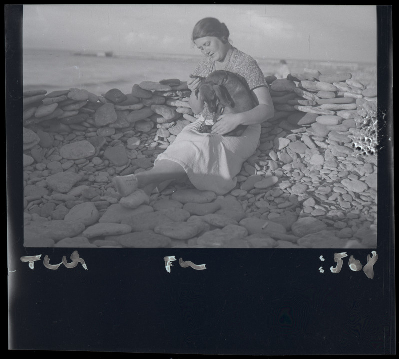 Koer - taks Kille - – Carl Sarap - Ajapaik