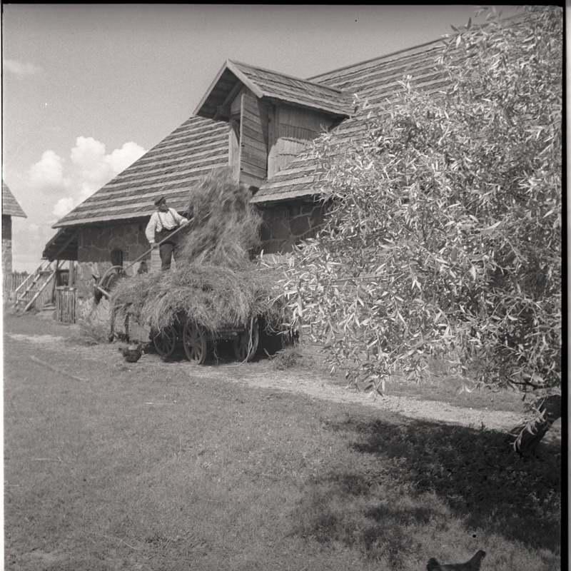 Kõlu talu, mees seismas hobuvankril – Carl Sarap - Ajapaik