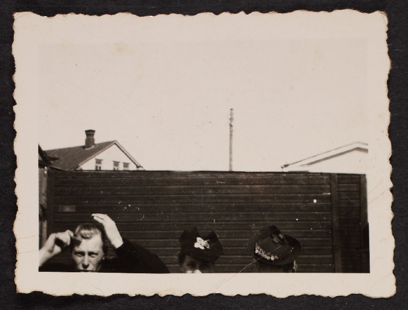 Plangu taustal paistavad kolm pead – V. Šuras - Ajapaik