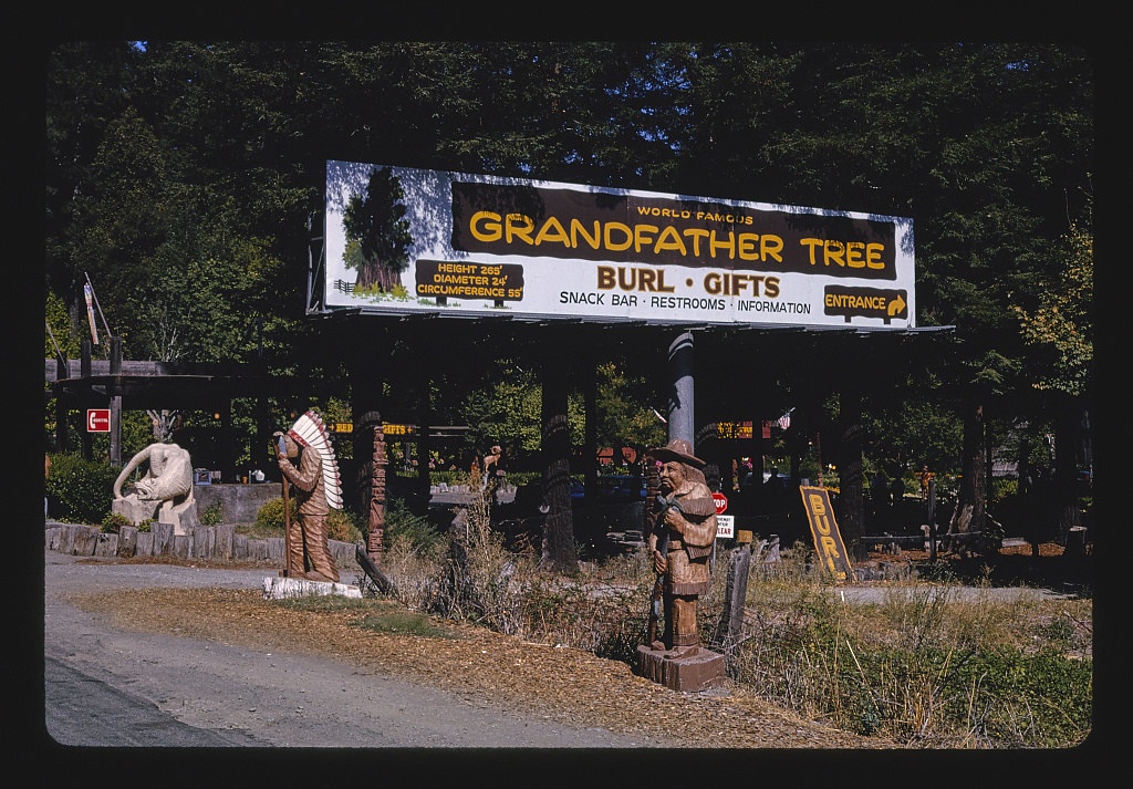Grandfather Tree entrance, Route 101, - Ajapaik
