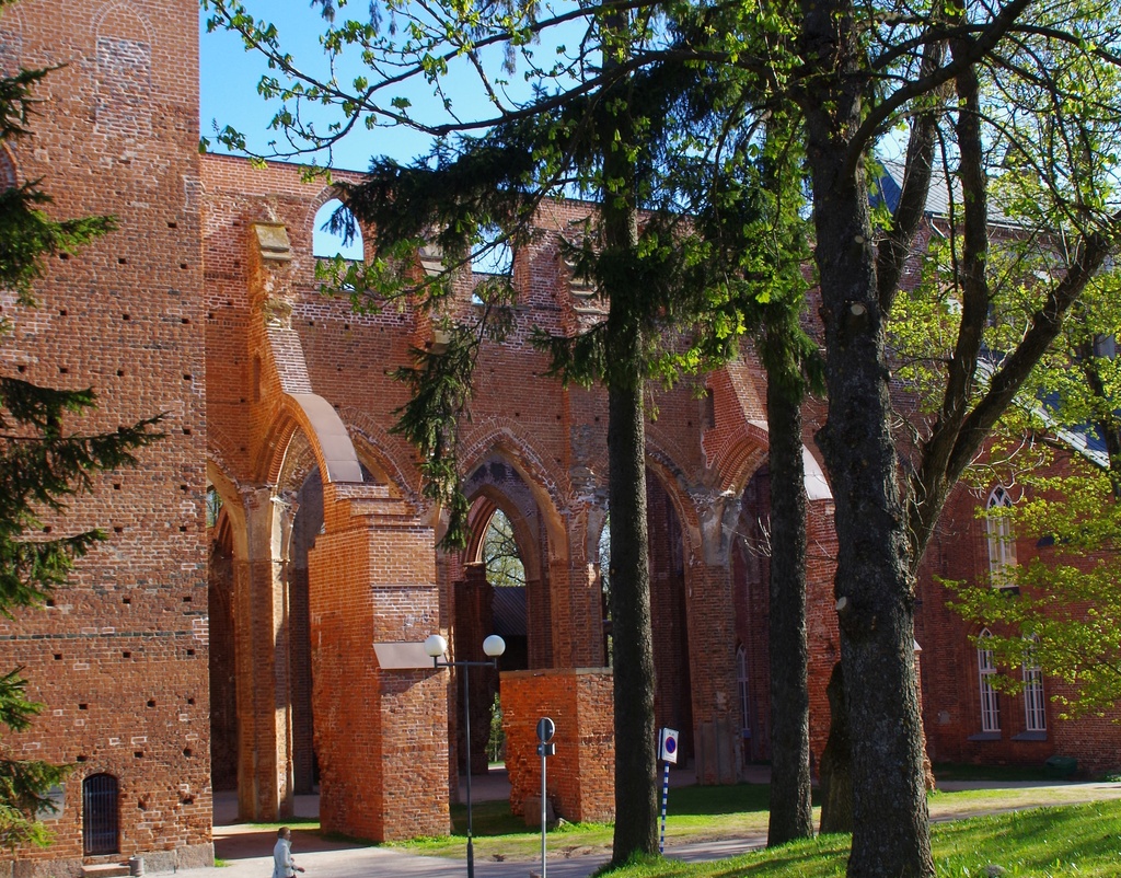 Ruins of Tartu Toomkirik – Carl Schulz - Ajapaik