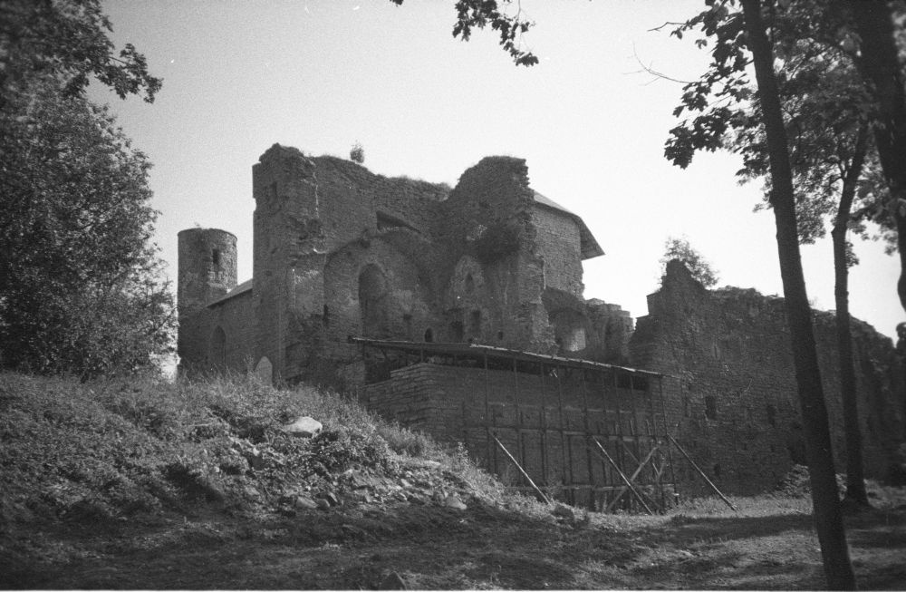 Ruins of the Padise monastery - Ajapaik