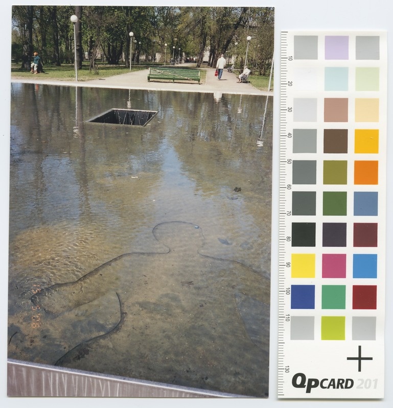Spraying Kopli graveyard – Treial, Harri - Ajapaik
