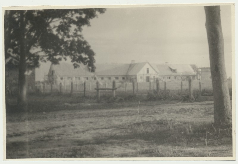 foto, Viljandimaa, Viiratsi sovhoos, karjalaut, - Ajapaik