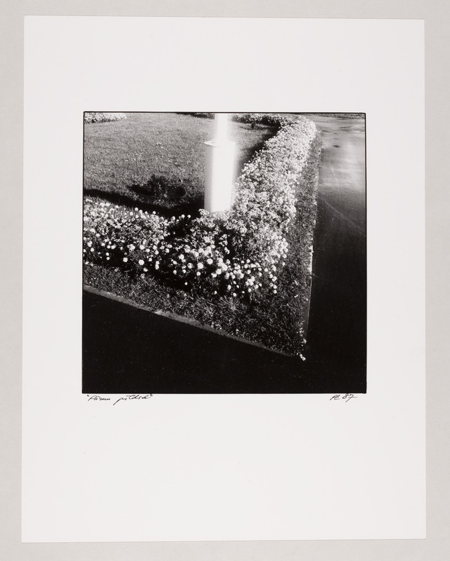 Tsüklist "Pärnu pildid" (Rannapildid) – Peeter Langovits - Ajapaik