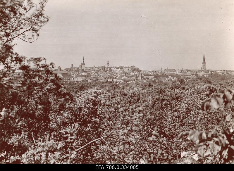 Vaade Tallinnale [Lasnamäe nõlvalt]. - Ajapaik