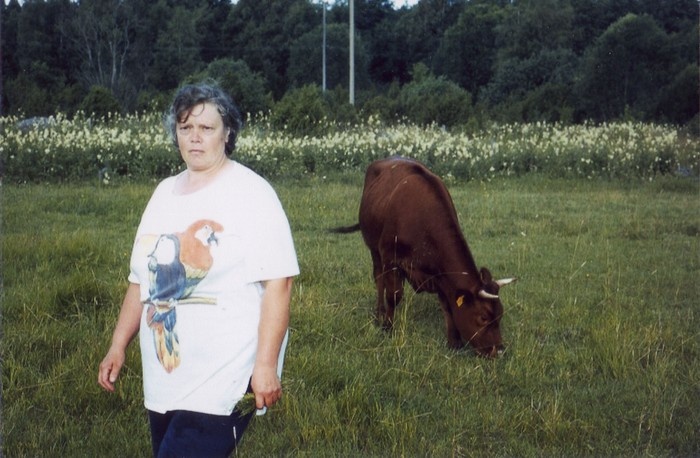 Milvi Jõeleht oma lehmaga - Ajapaik