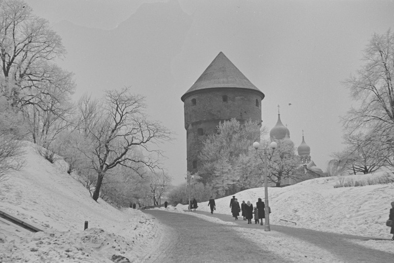 Vaade Kiek in de Kök'ile – Gunnar Vaidla - Ajapaik
