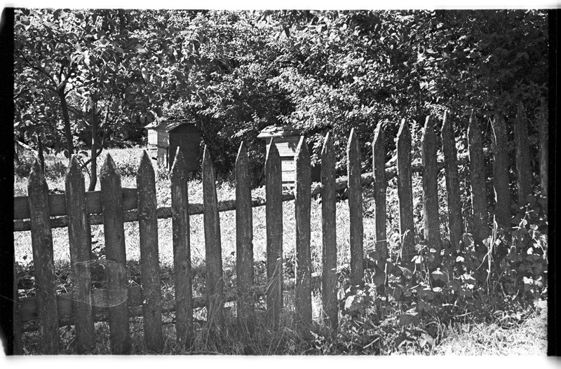 Piirdeaed ja mesitarud, Võhma (Lahemaa), – Lembit Odres - Ajapaik