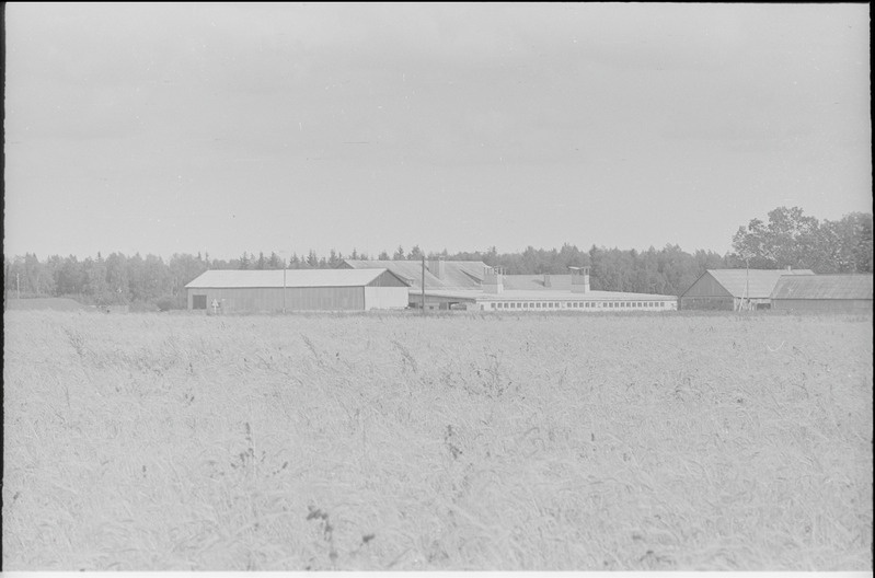 Uhtna kolhoosi uusehitusi – Enno Kapstas - Ajapaik