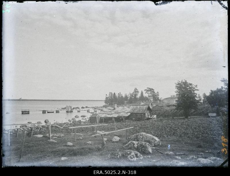 Looduspilt. Sadam. – Johan Naha - Ajapaik